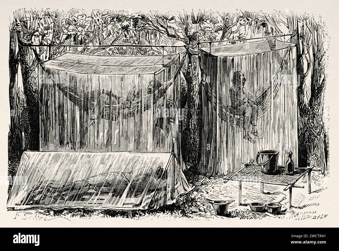 Expedition resting in the virgin forest protected by a mosquito net ...