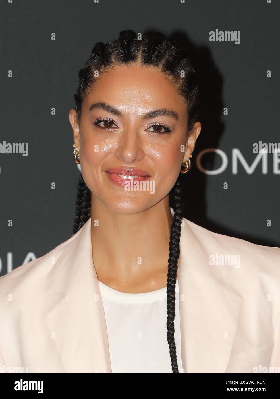 Naples, Italy. 17th Jan, 2024. Naples, Rai center, photocall for the TV ...
