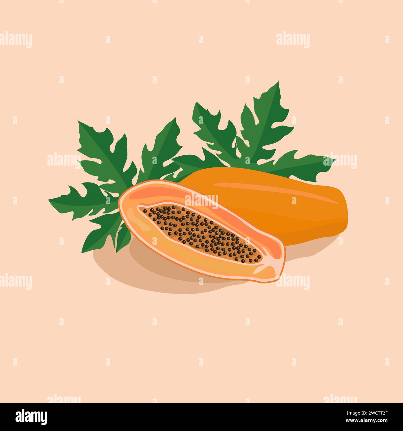 Tropical fruit papaya, whole and half cut with seeds and green leaves ...