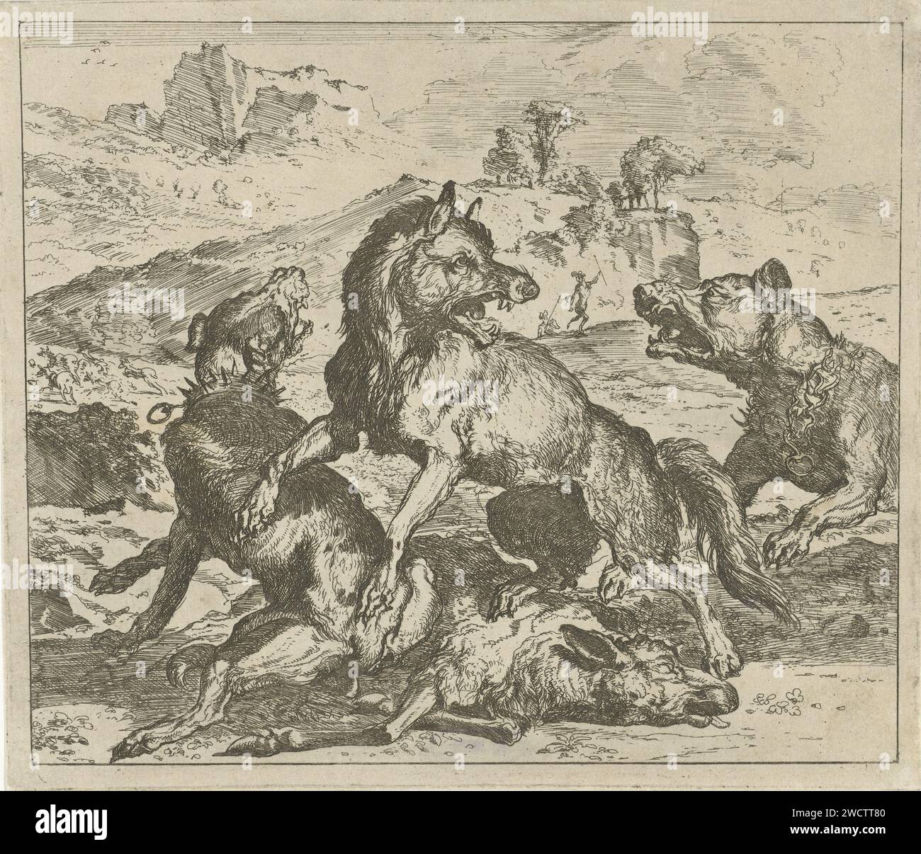 Wolf attacked by dogs, Abraham Daniëlsz. Hondius, 1672 print Dogs ...