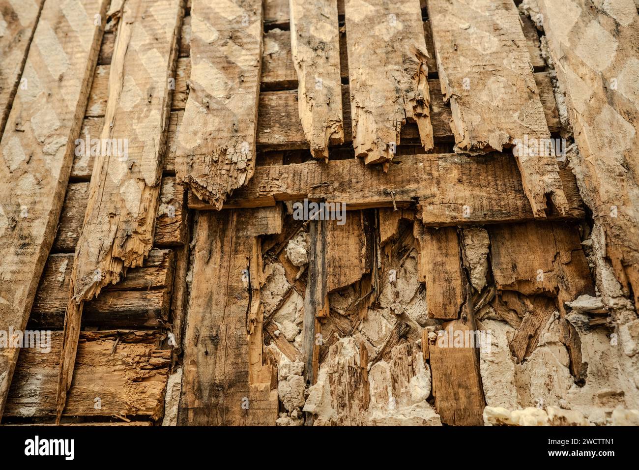 Old wooden wall damaged by termites. Close-up view. Rotten wall. Real ...