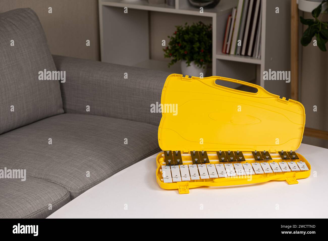 Metallophone, Metal Xylophone, Percussion Musical Instrument Stock ...