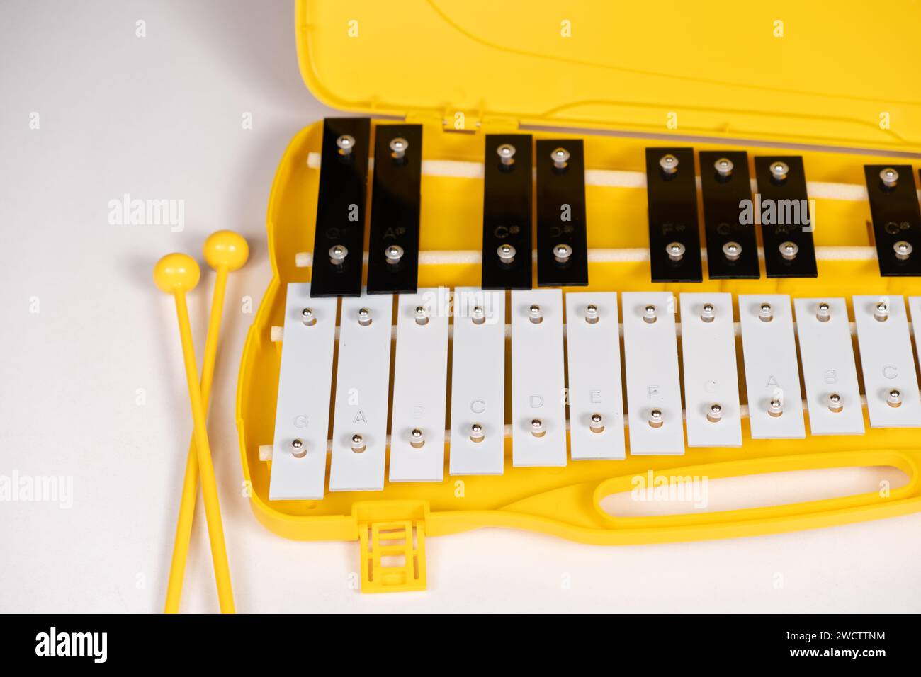 Metallophone, metal xylophone, percussion musical instrument on a white ...