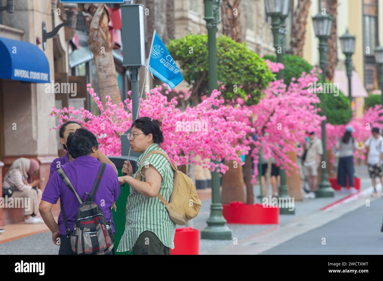 Chinese tour guide holding the flag high while chatting with her ...