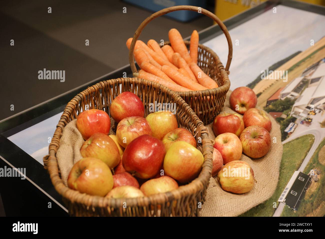 Deutschland, Berlin, Internationale Grüne Woche, 19. - 28. Januar 2024 ...