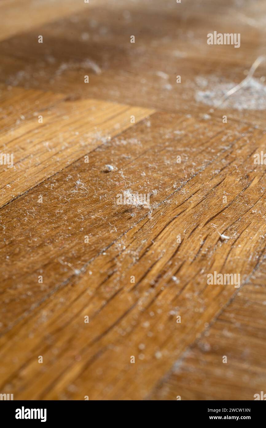 Dust specs hi-res stock photography and images - Alamy