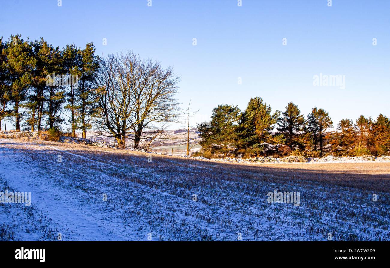 Snow landscape dundee hi-res stock photography and images - Alamy
