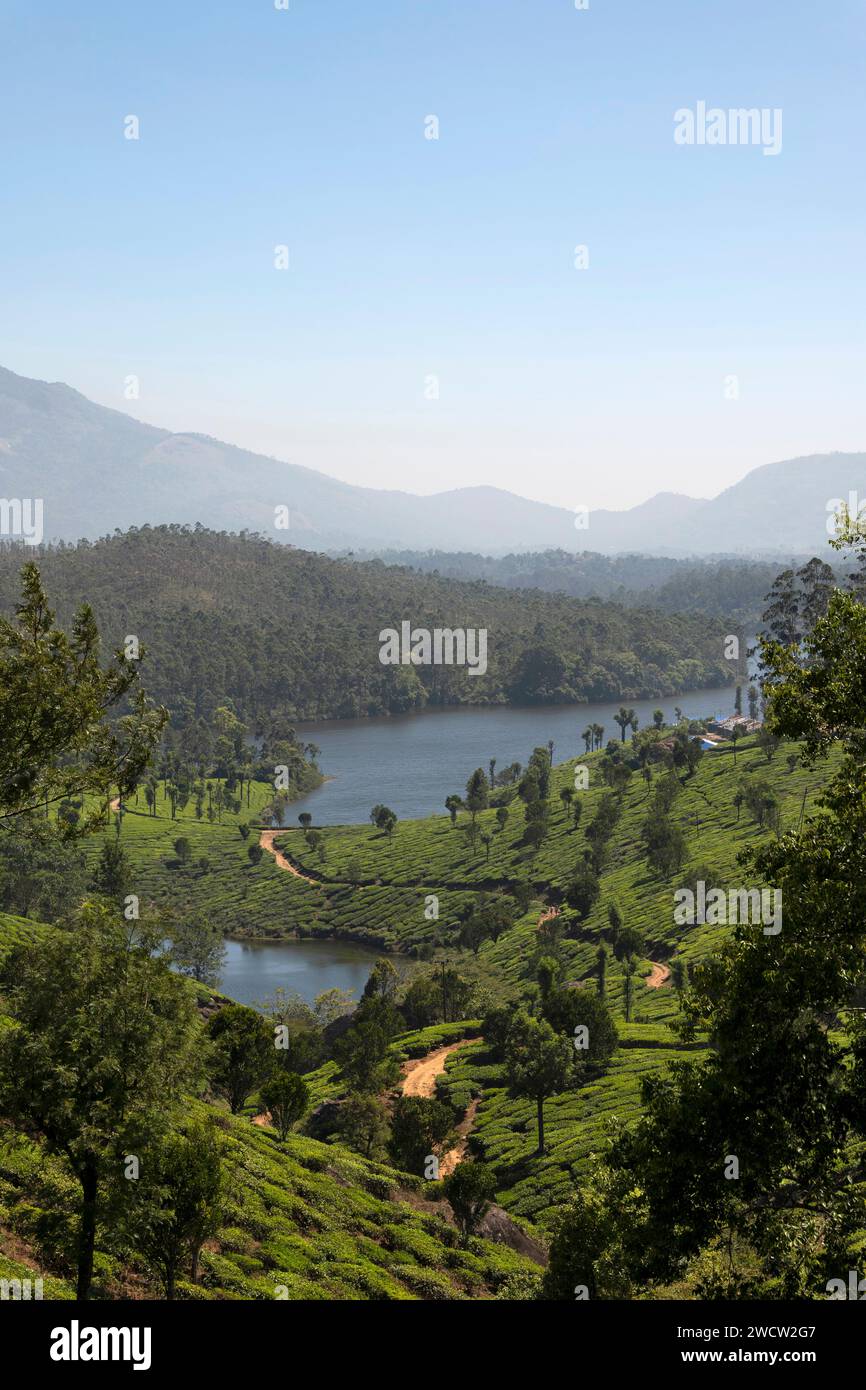 Kannan devan tea museum at Munnar, Kerala, India Stock Photo - Alamy