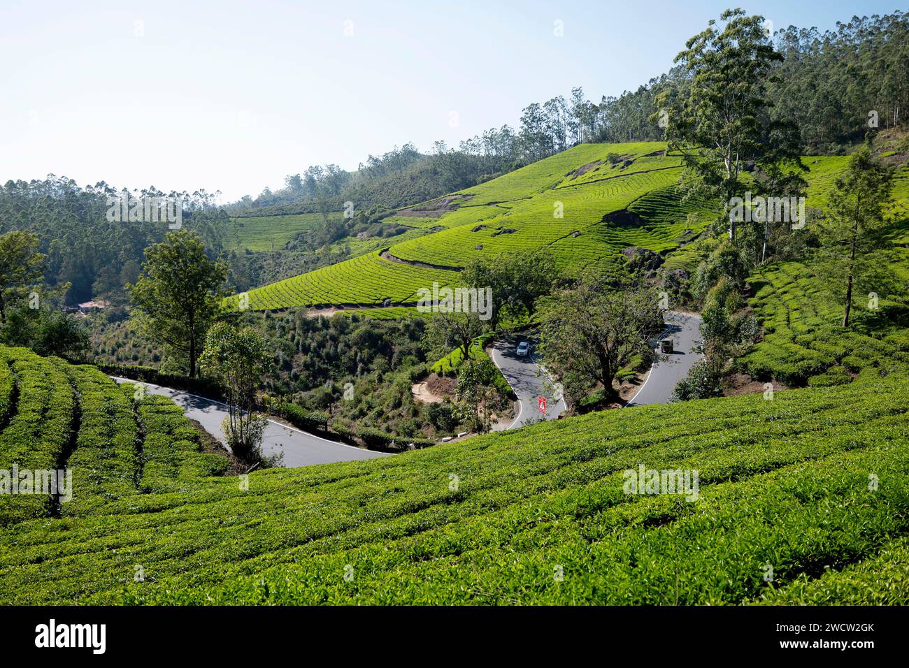 Pothamedu View Point, Lofty overlook with a tea plantation, Idukki ...