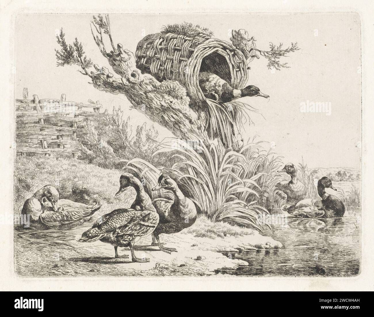 Ducks on a Waterkant, Albertus Verhoesen, 1816 - 1881 print Netherlands ...