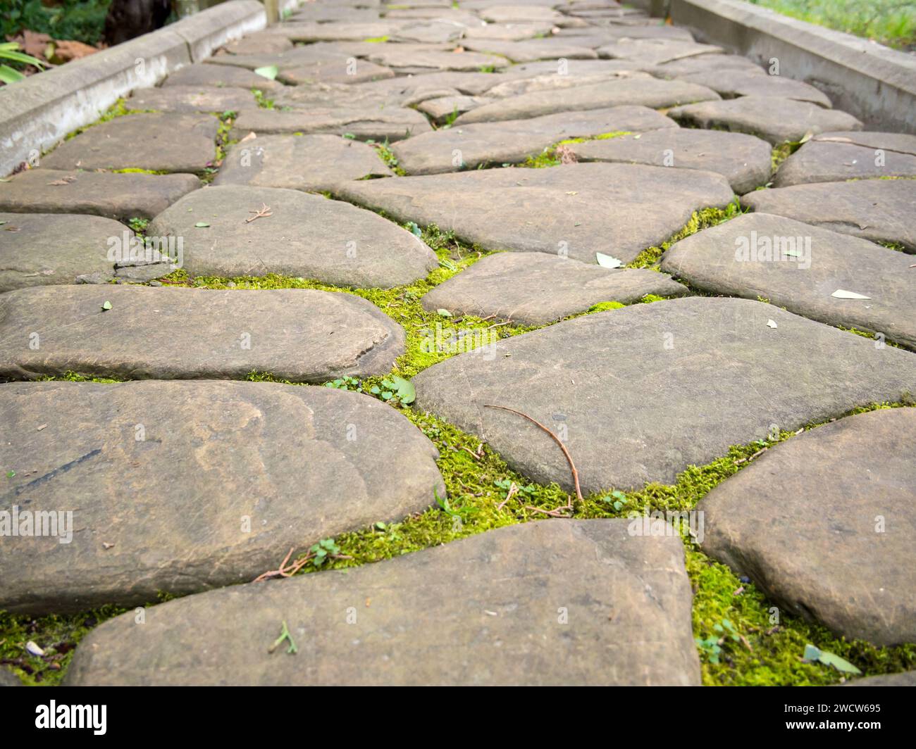Decorative pavement made stones hi-res stock photography and images - Alamy