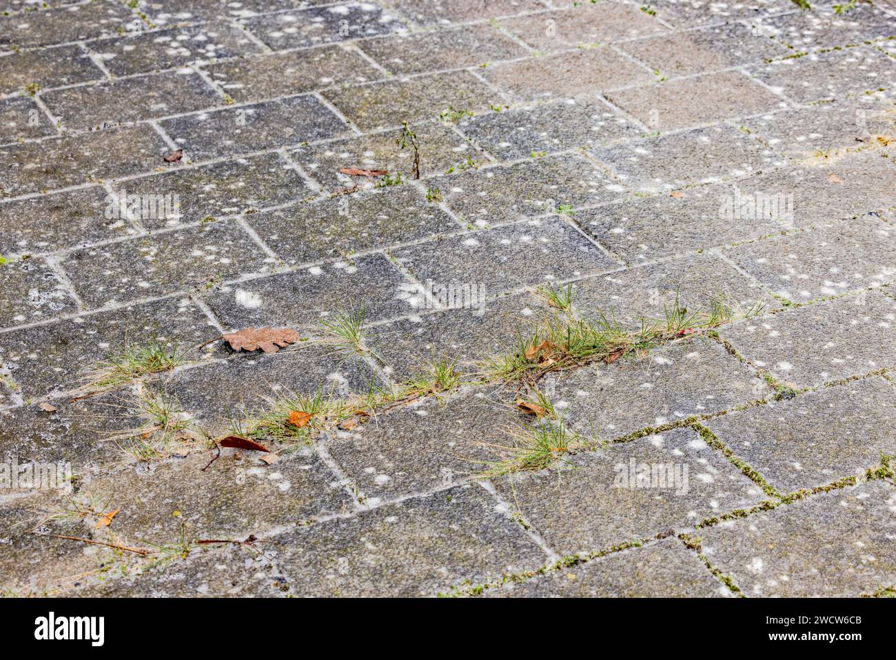 Sidewalks, pavement and streets slippery due to freezing rain in ...