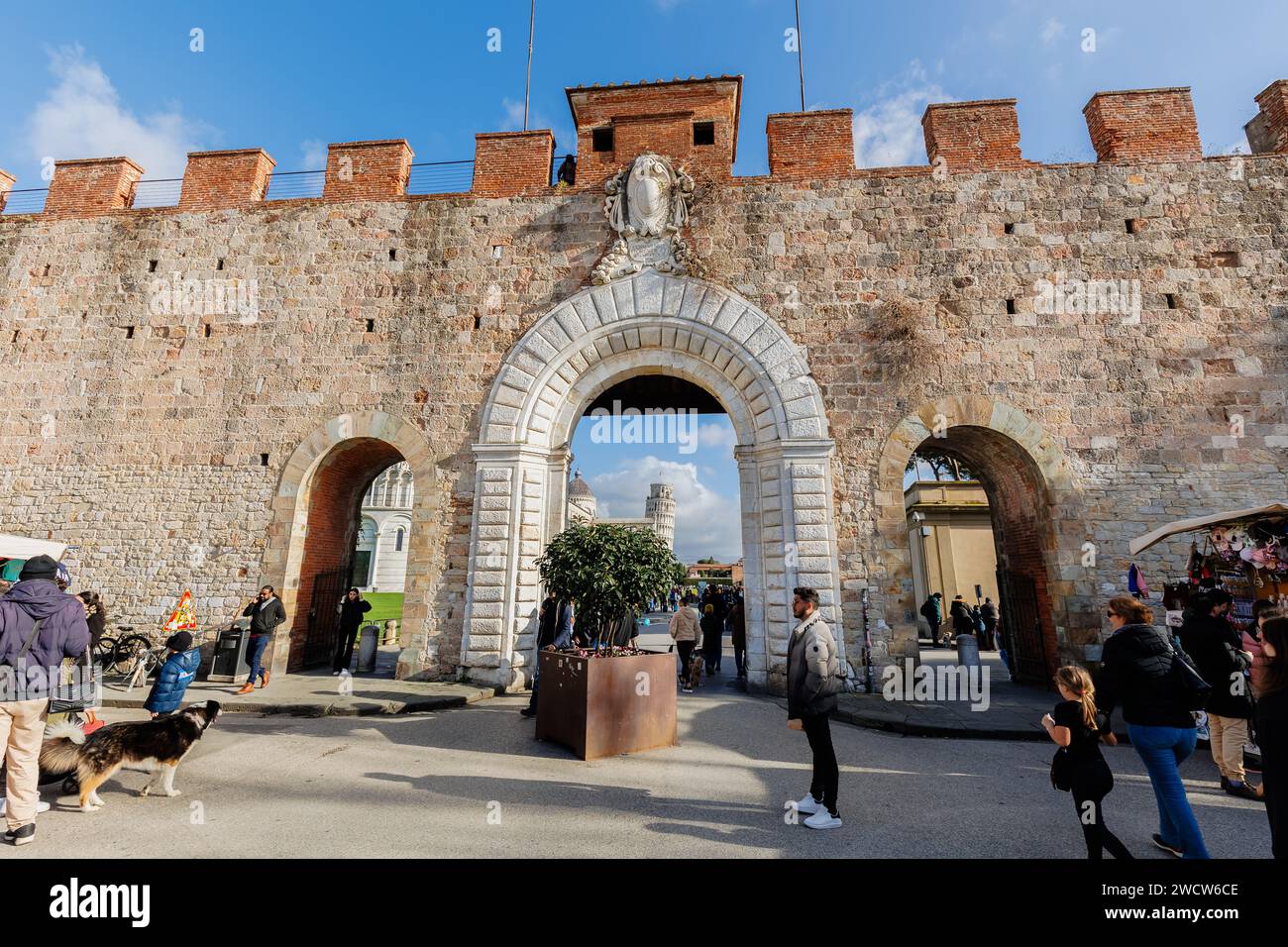P731 Pisa Italy