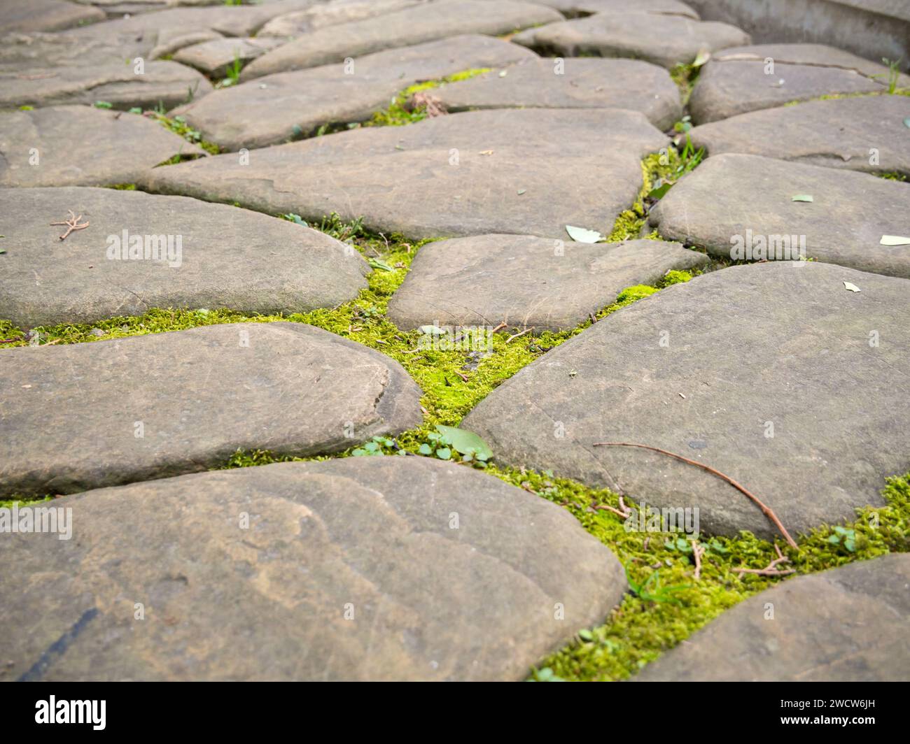 Garden pavers path walkway landscaping hi-res stock photography and ...