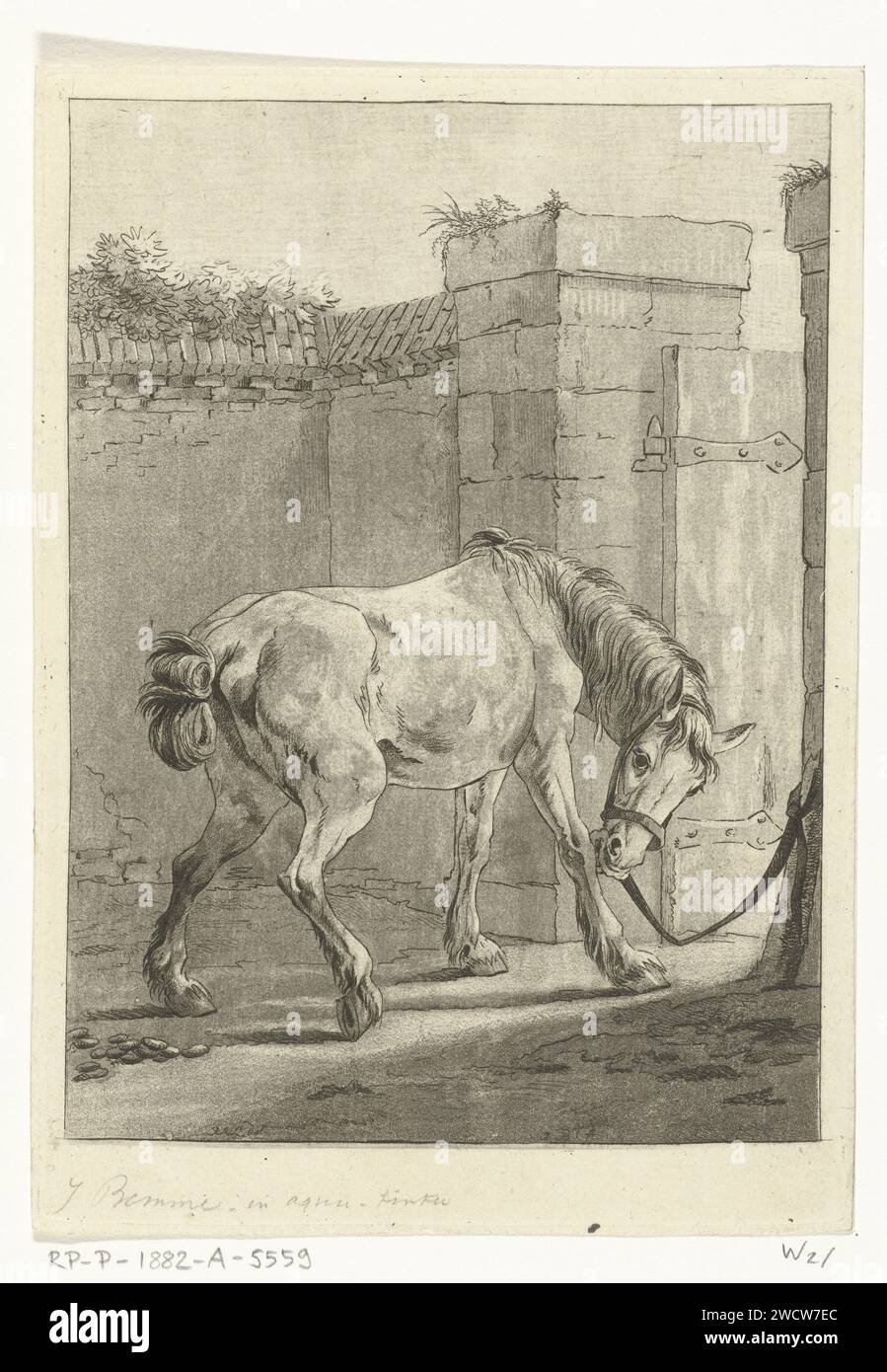 Horse tied pole open hi-res stock photography and images - Alamy