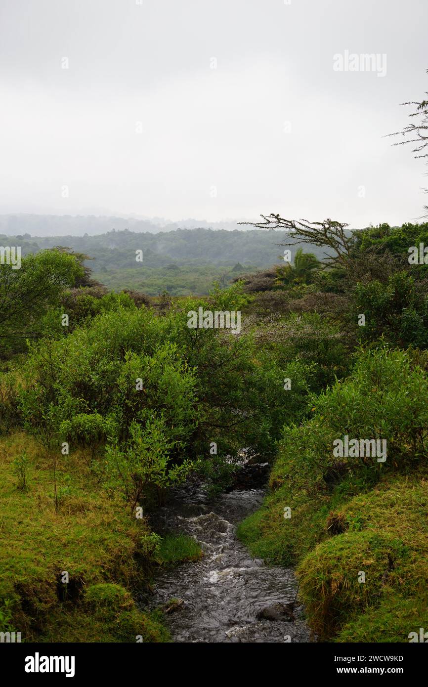 Savannah river mountain hi-res stock photography and images - Alamy