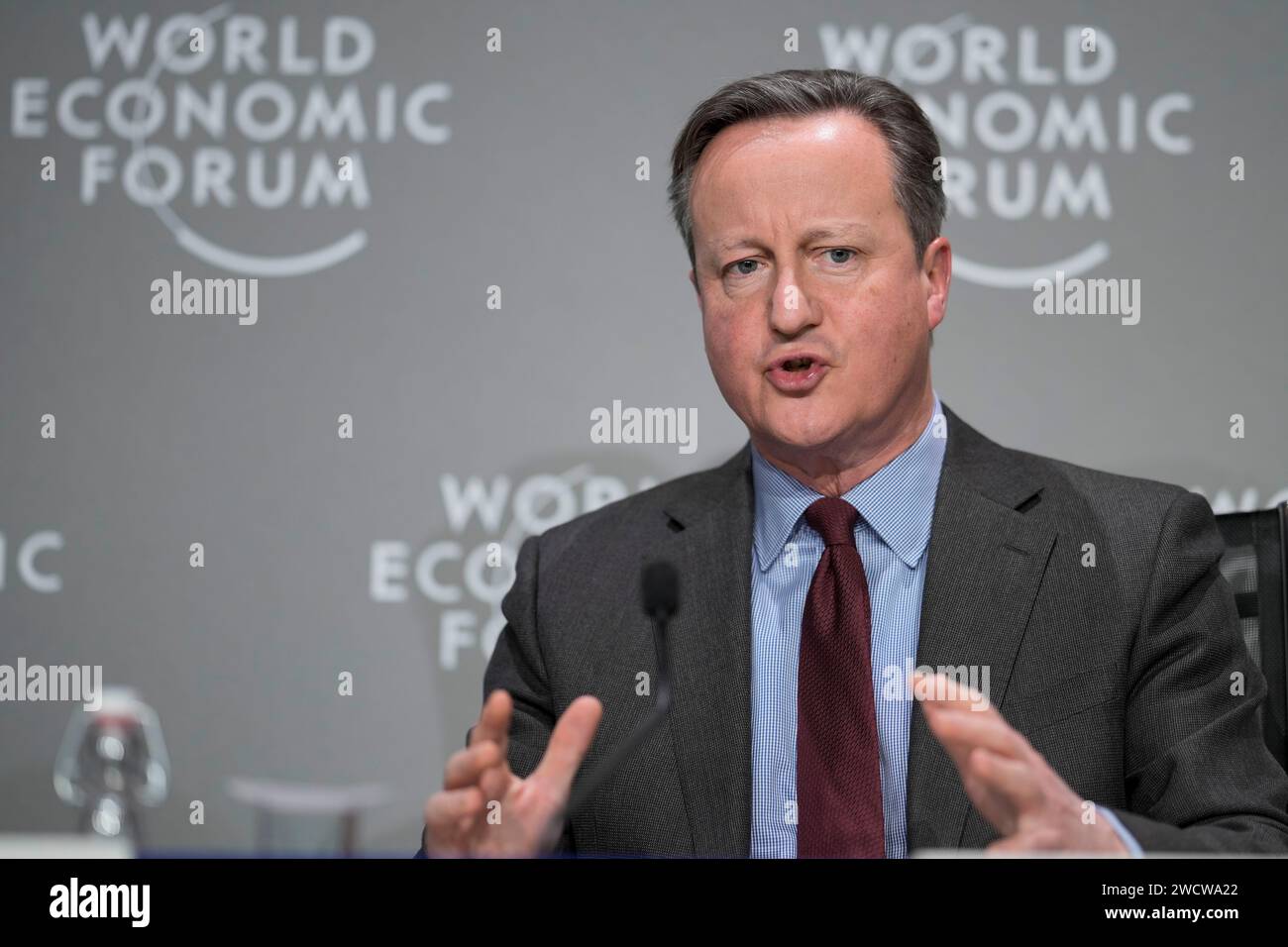 Britain's Foreign Secretary David Cameron takes part in a panel ...