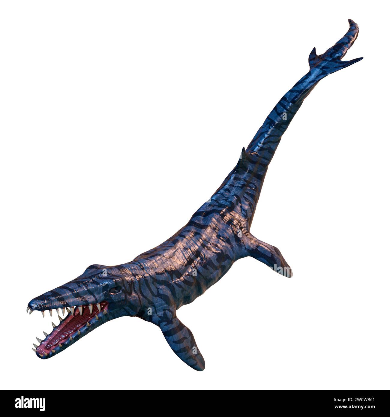 3D rendering of a Mosasaurus, sea creature, prehistoric dinosaur ...