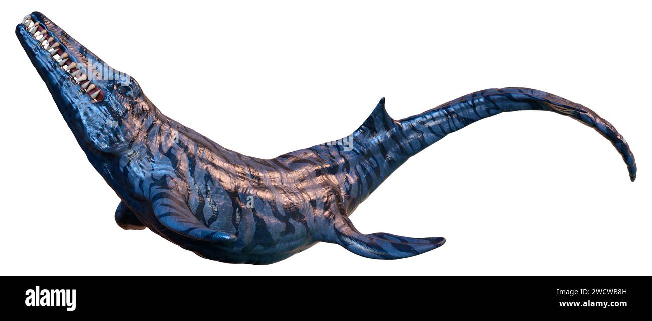3D rendering of a Mosasaurus, sea creature, prehistoric dinosaur ...