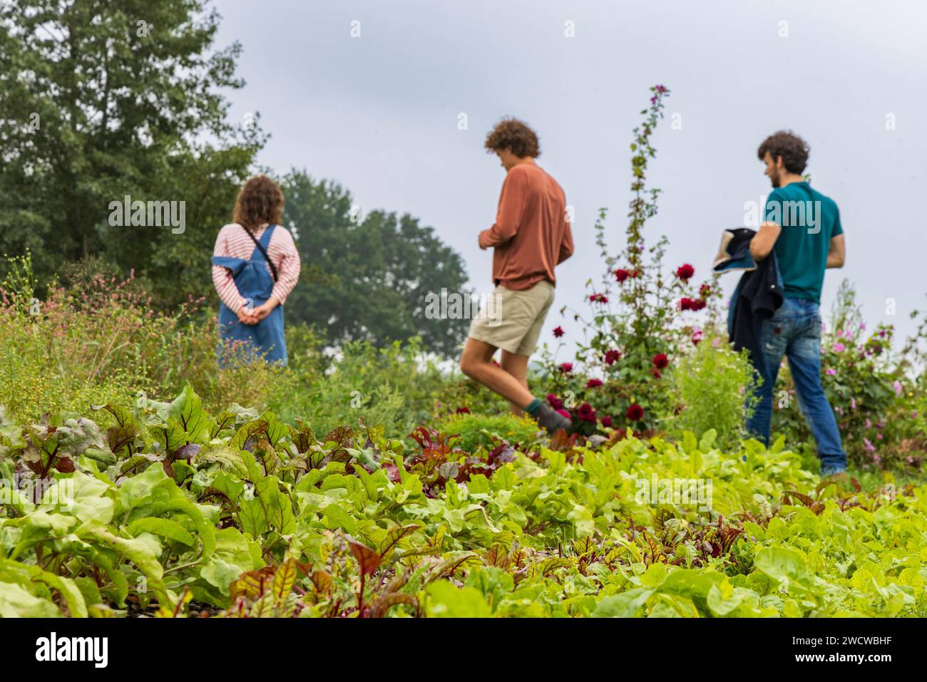 Bennekom, The Netherlands - September 17, 2023: Open day and guided ...