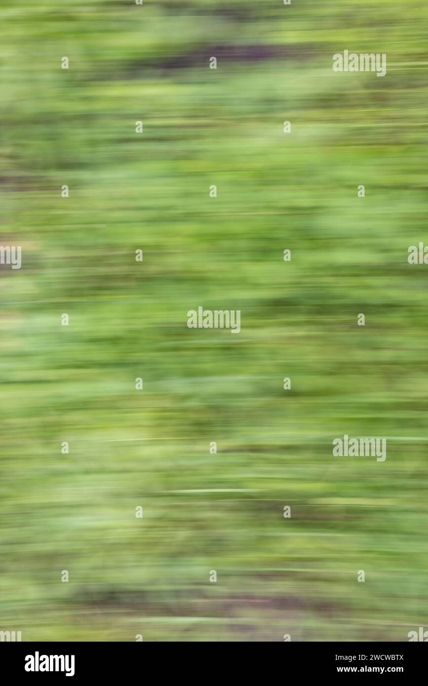 Natural green movement background with stripes Stock Photo - Alamy