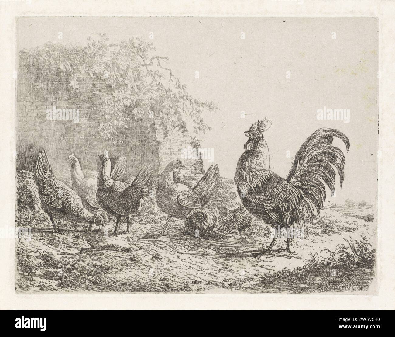 Haan with five chickens, Albertus Verhoesen, 1816 - 1881 print ...