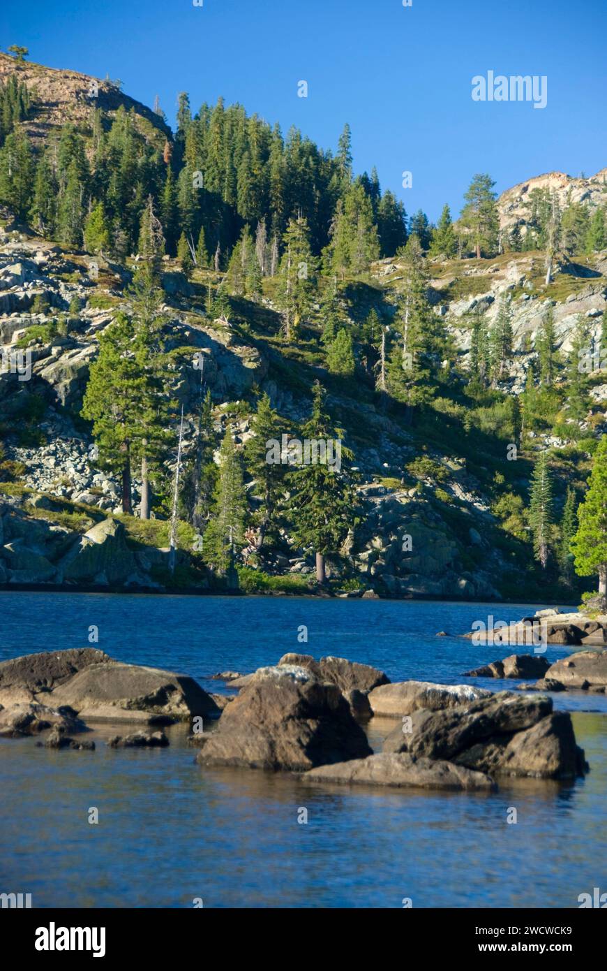 Big Bear Lake, Lakes Basin Recreation Area, Plumas National Forest ...