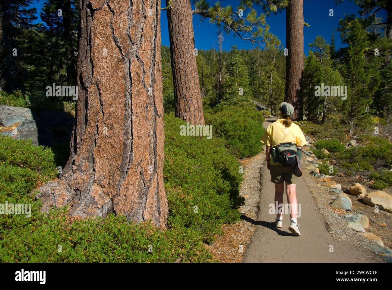 Frazier falls trail hi-res stock photography and images - Alamy