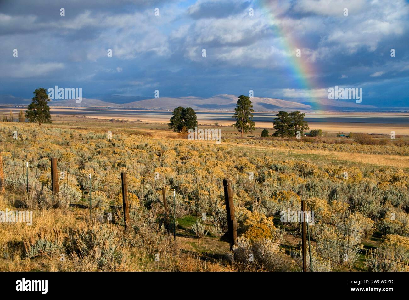 Honey Lake Valley rainbow, Lassen County, California Stock Photo - Alamy