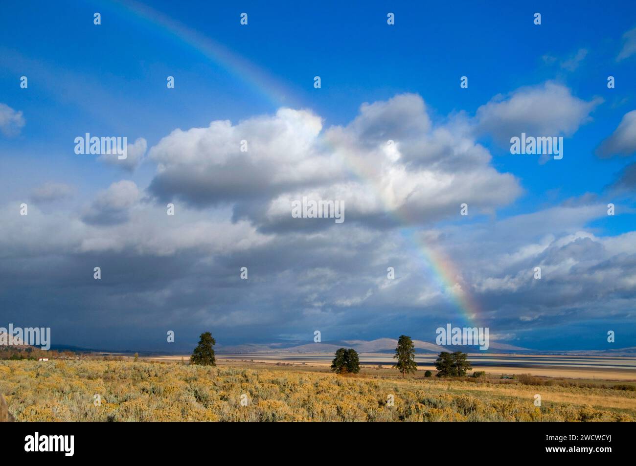 Honey Lake Valley rainbow, Lassen County, California Stock Photo - Alamy