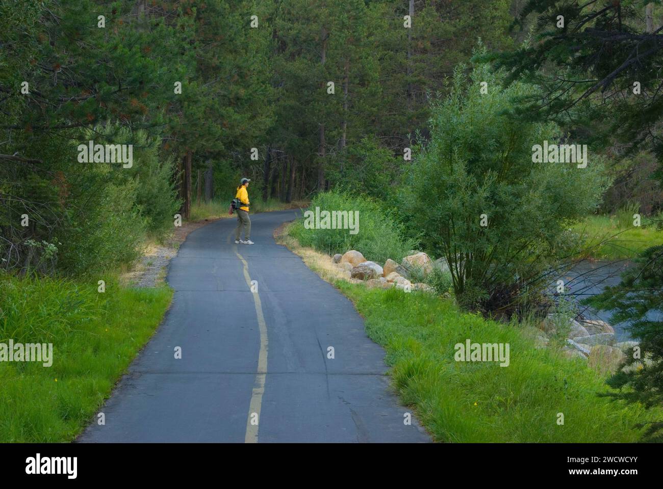 Truckee river trail nevada hi-res stock photography and images - Alamy