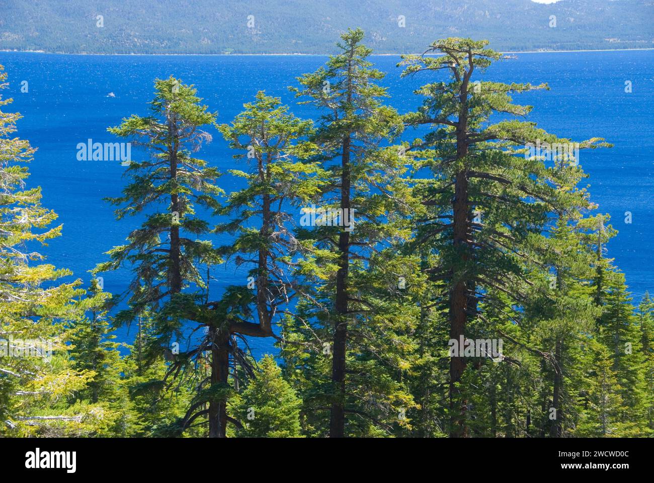 Lake Tahoe, DL Bliss State Park, California Stock Photo - Alamy