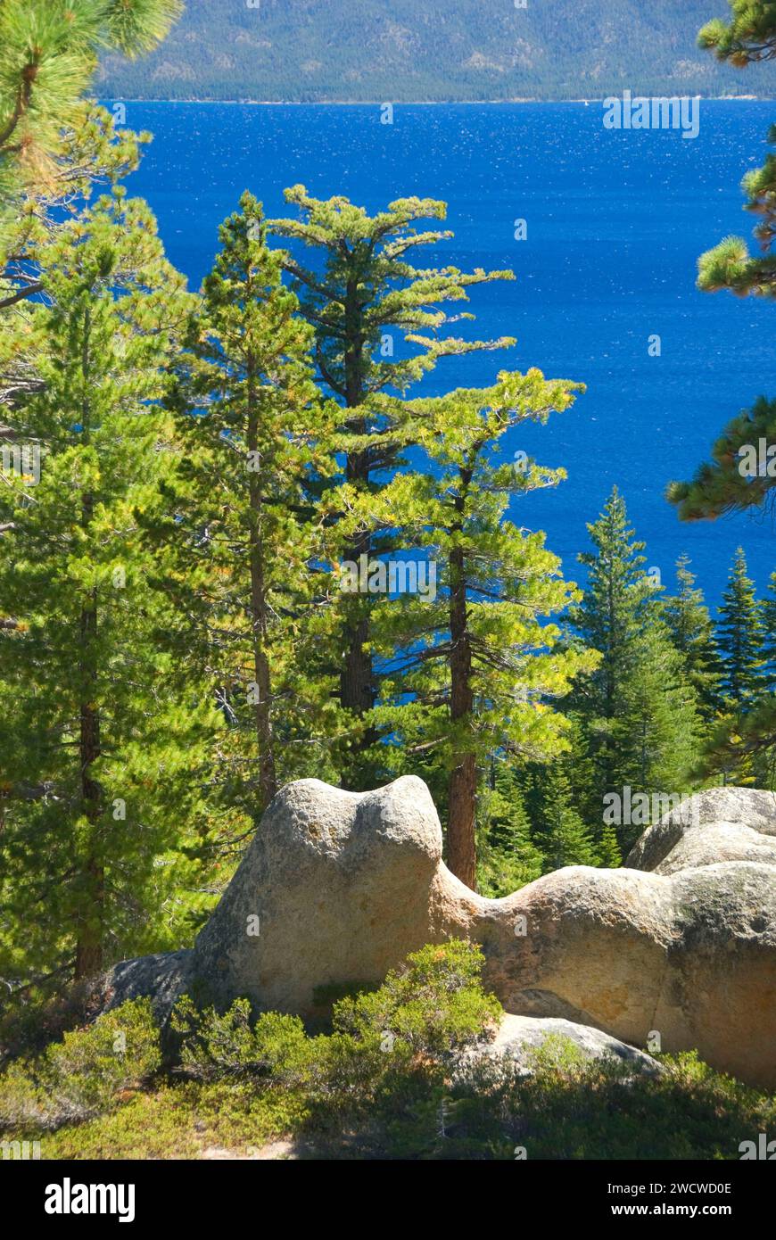 Lake Tahoe, DL Bliss State Park, California Stock Photo - Alamy