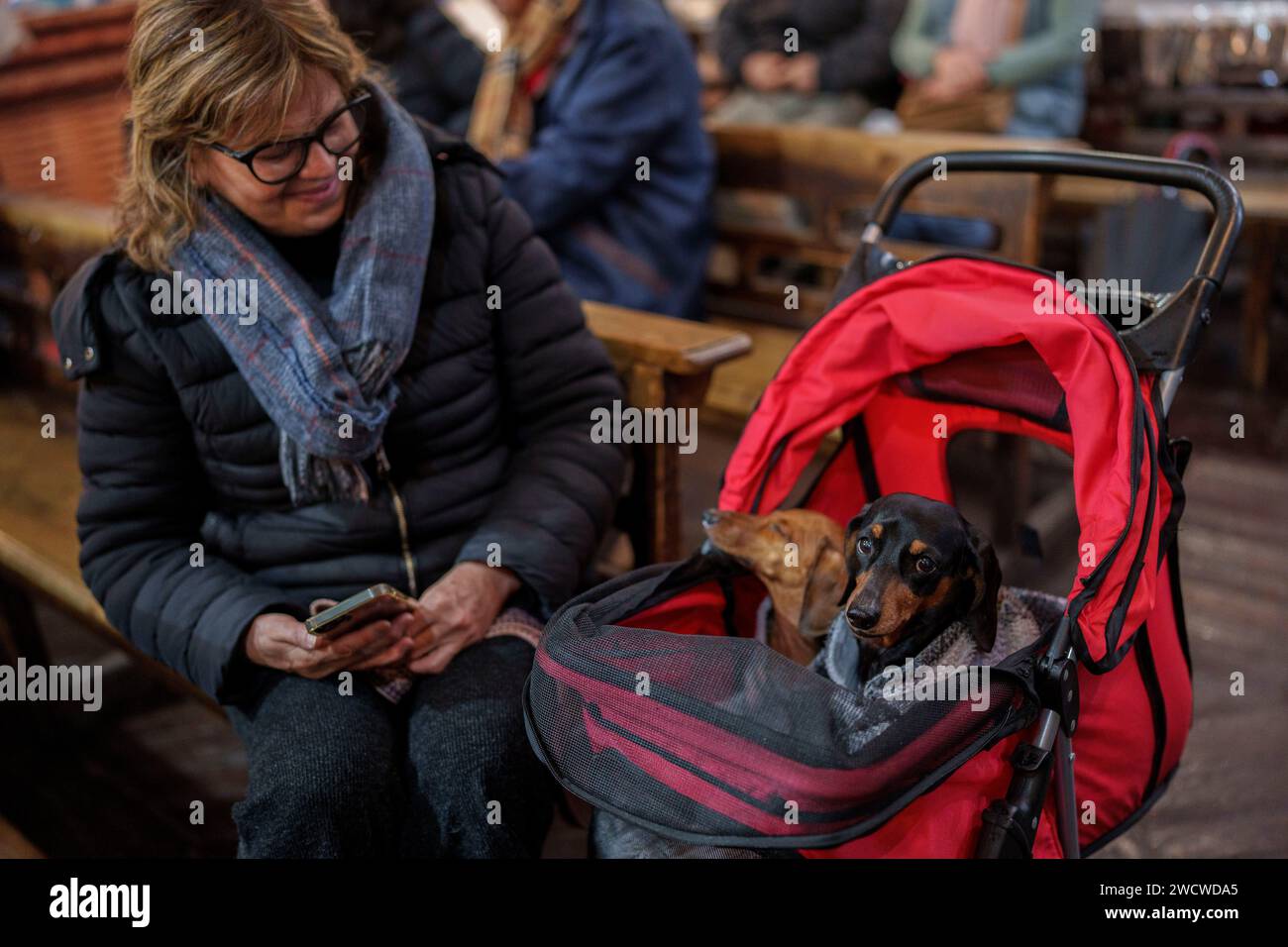 A woman stands with her dogs after being blessed at the San Anton ...