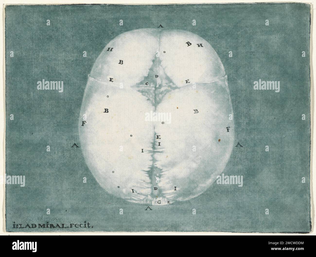 Prints of the Brain and the Heart, Jan l'Admiral, 1733 - 1738 print ...