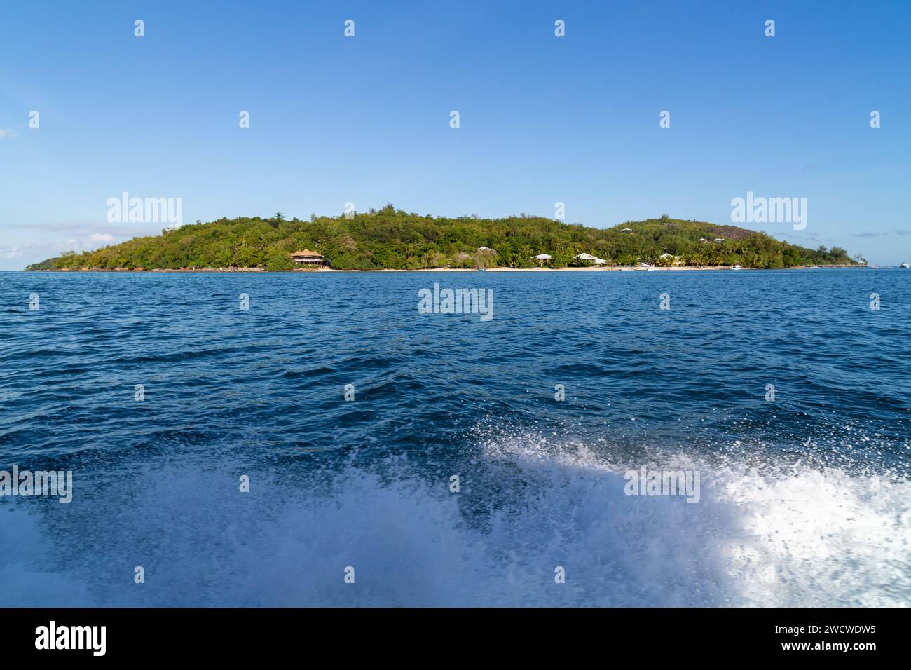 Roche caiman hi-res stock photography and images - Alamy