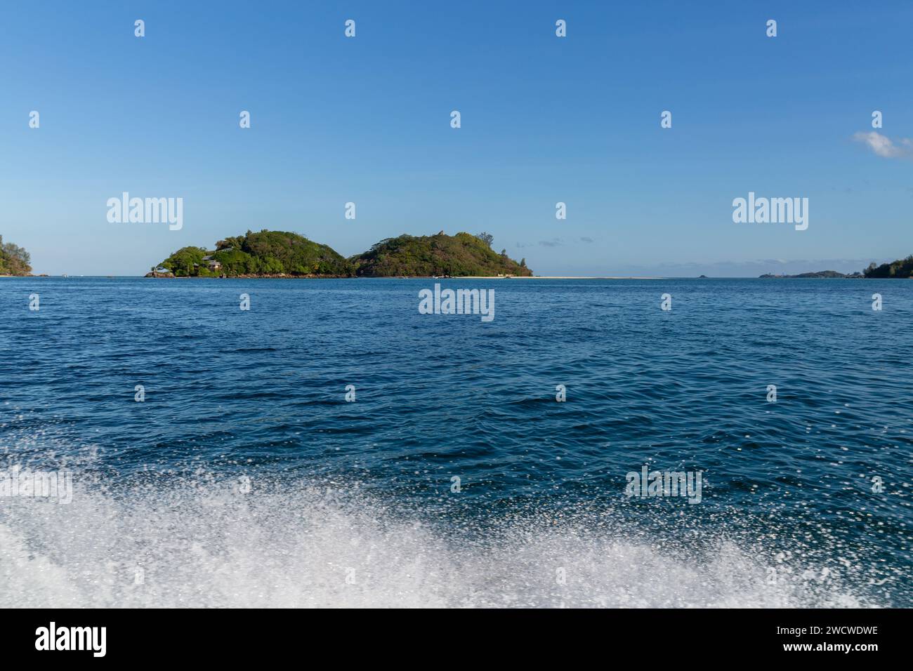 Roche caiman hi-res stock photography and images - Alamy