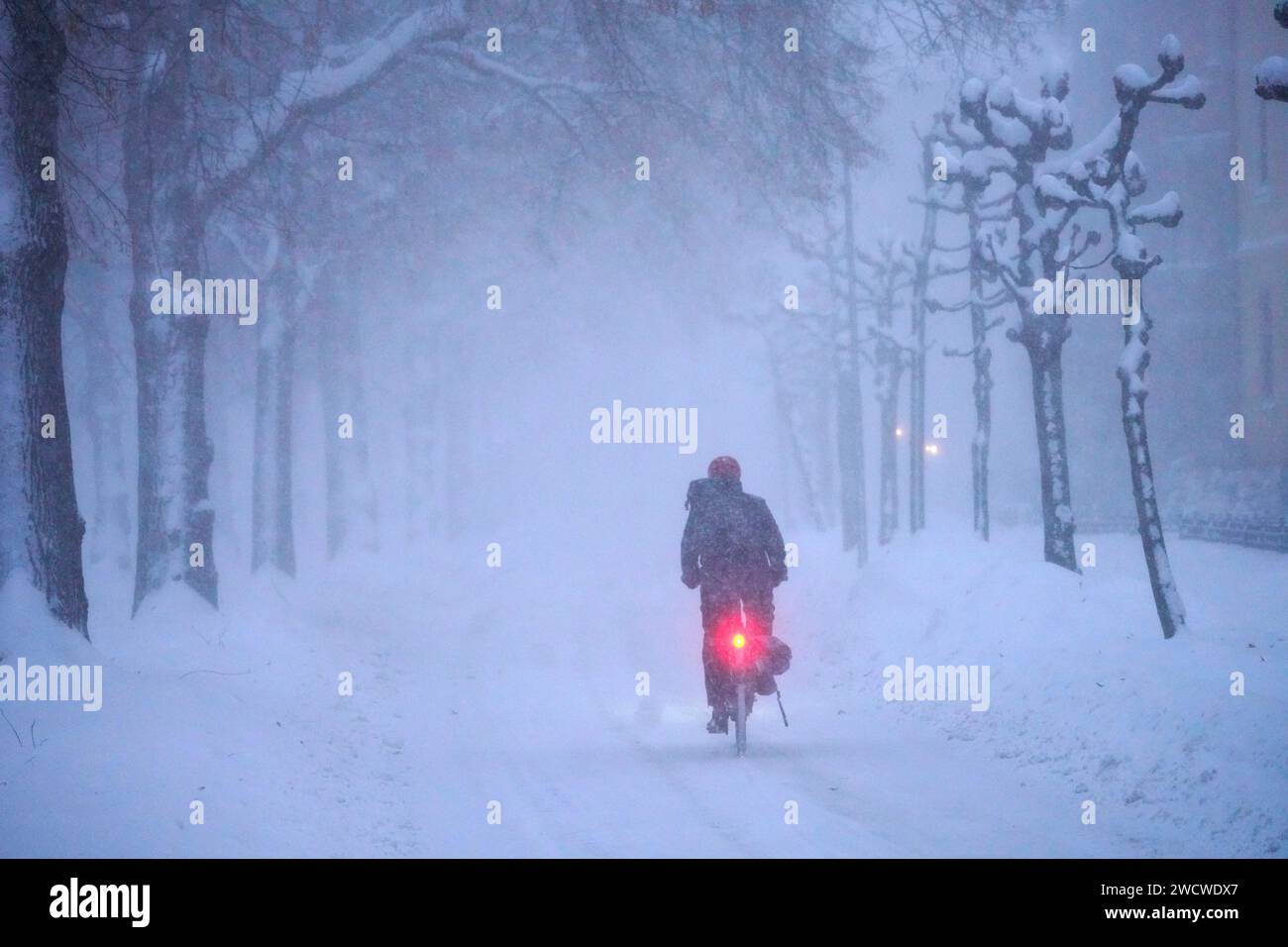 Oslo 20240117.The heavy snowfall creates challenges like here in the ...