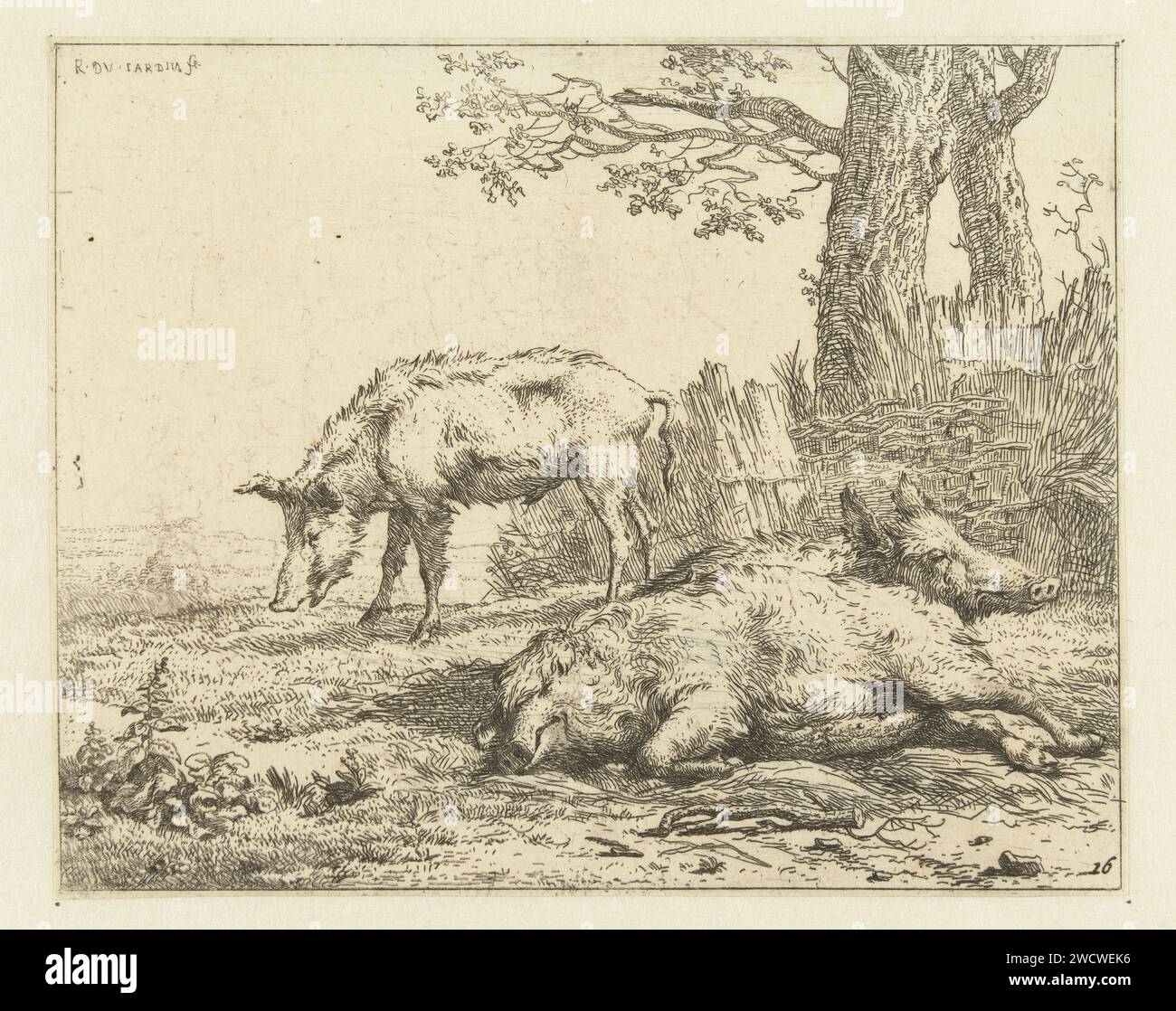Three pigs by a hedge, Karel du Jardin, 1656 - 1658 print The Hague ...