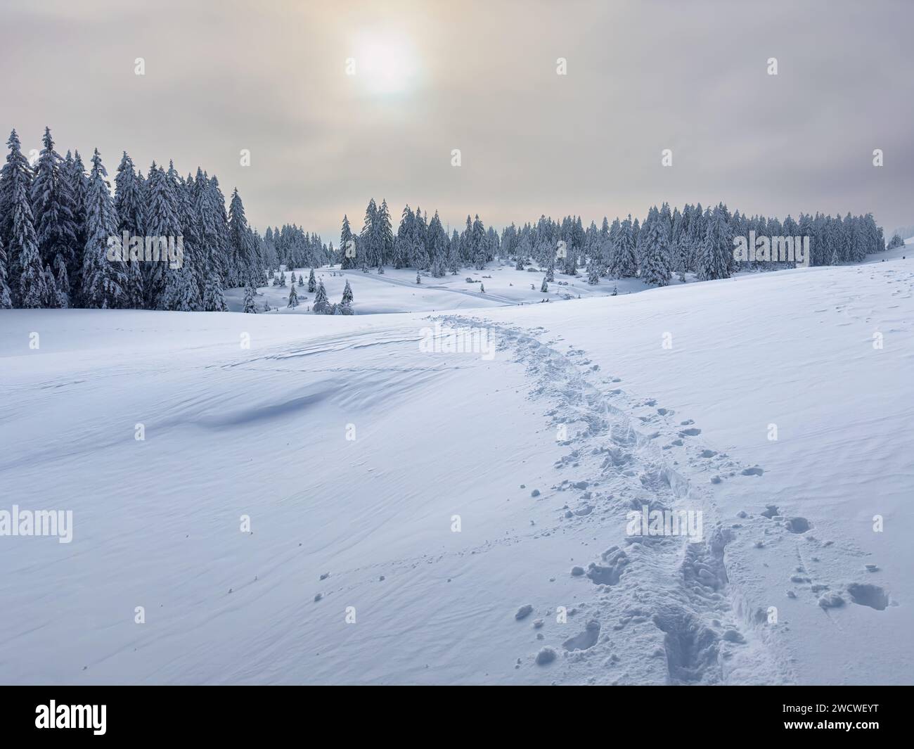 tranquil snowy winter landscape in the Bregenz forest Mountains ...