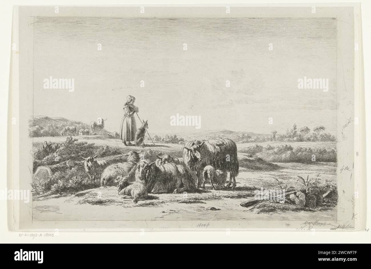 Landscape with shepherdin and dog with herd sheep, Simon van den Berg ...