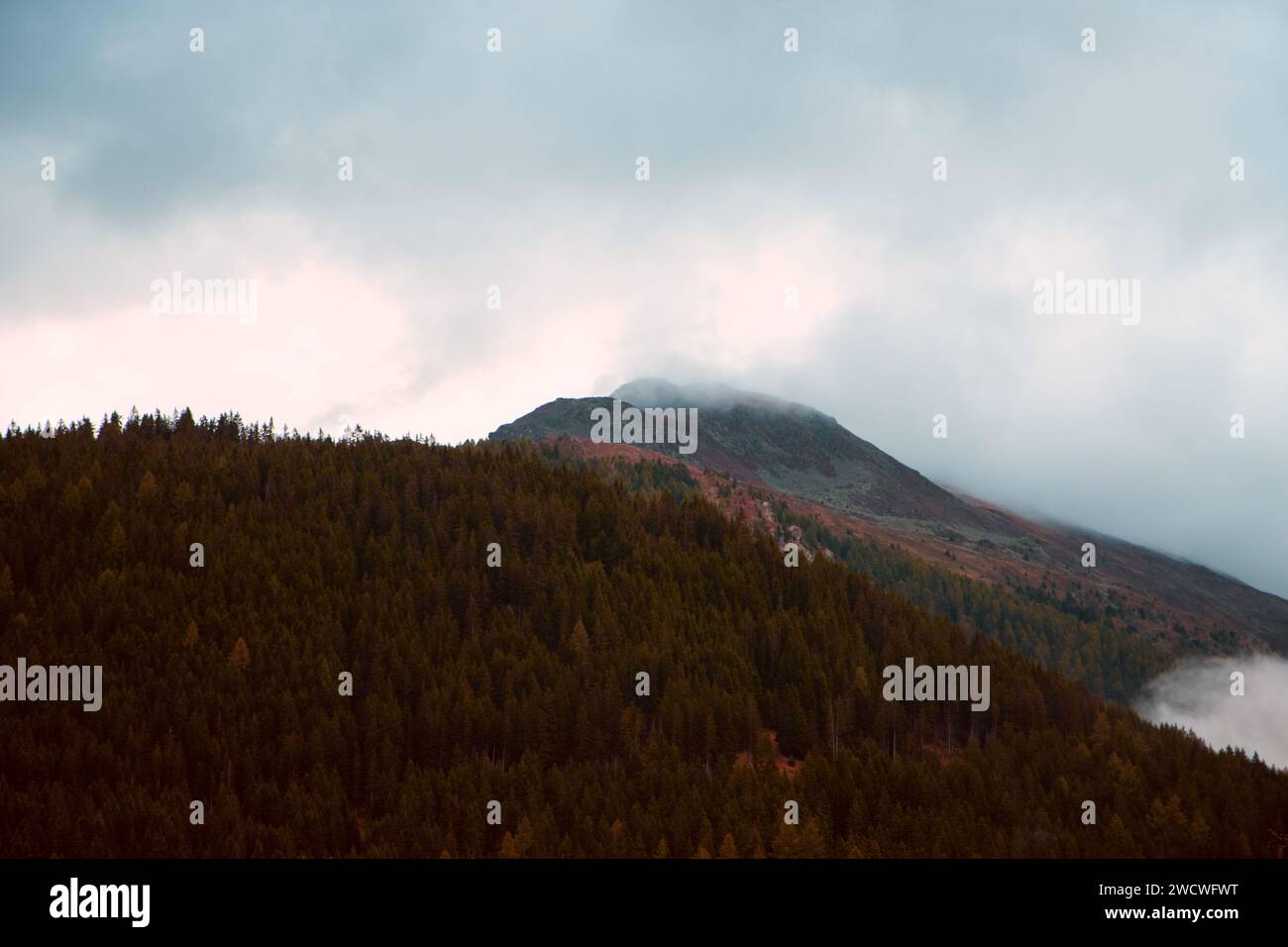 Cloud-Crowned Summit: The Silent Majesty of Alpine Peaks Amidst the Whispering Pines Stock Photo ...
