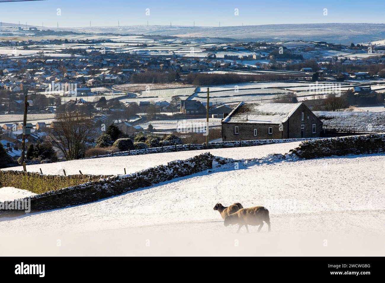 West Yorkshire, UK. 17th Jan, 2024. UK Weather. Blue skies and freezing ...