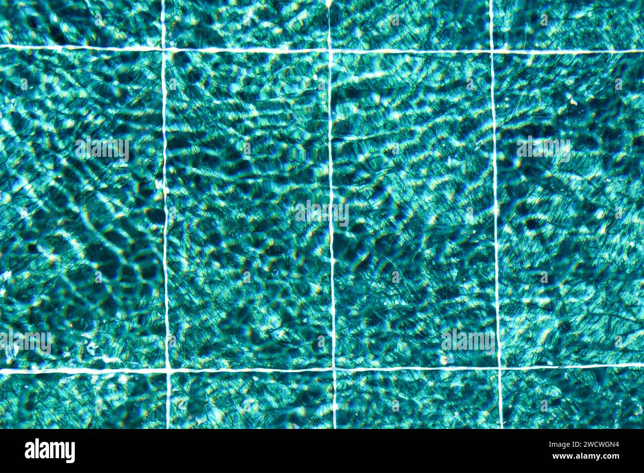 Emerald tiles hi-res stock photography and images - Alamy