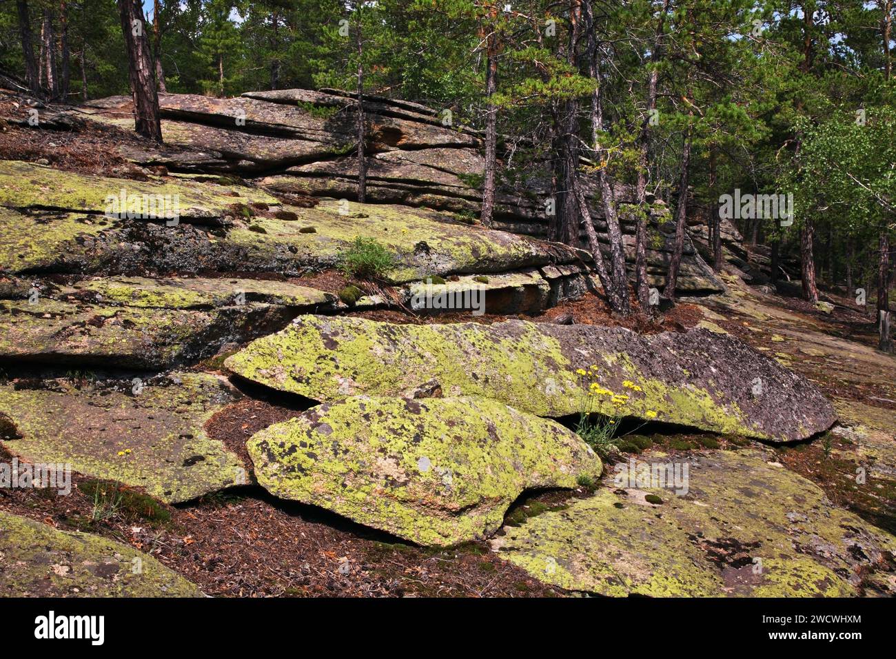 The karkaraly national park hi-res stock photography and images - Alamy