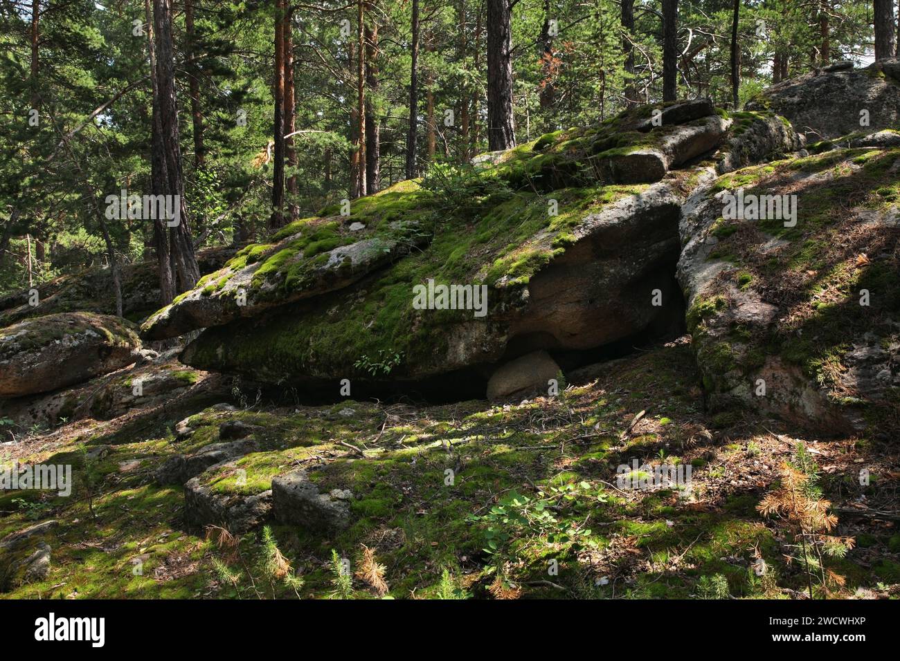 The karkaraly national park hi-res stock photography and images - Alamy