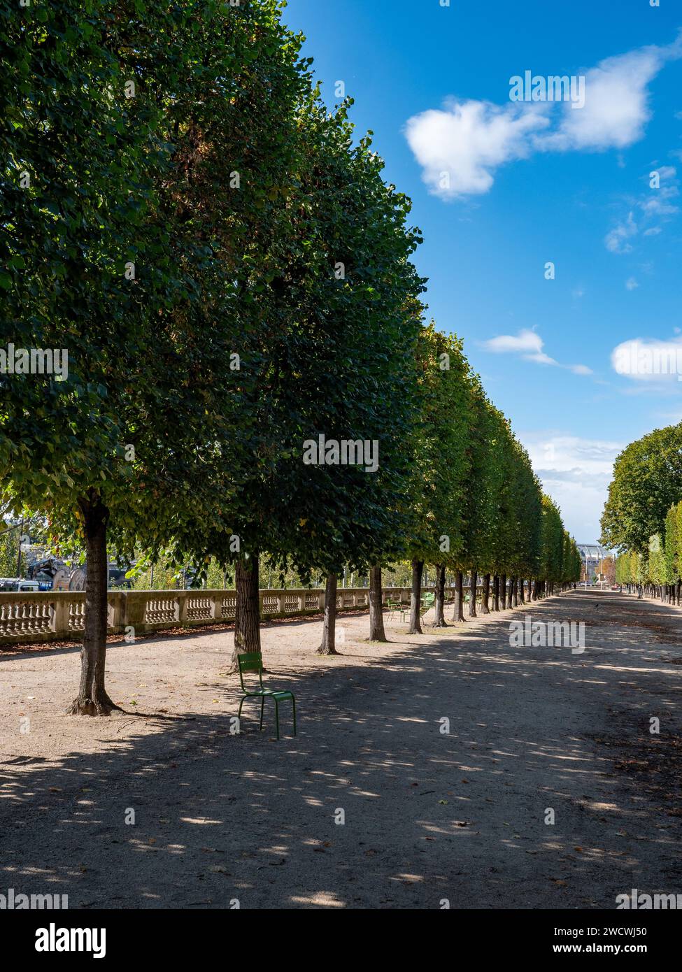 Most beautiful avenue hi-res stock photography and images - Alamy