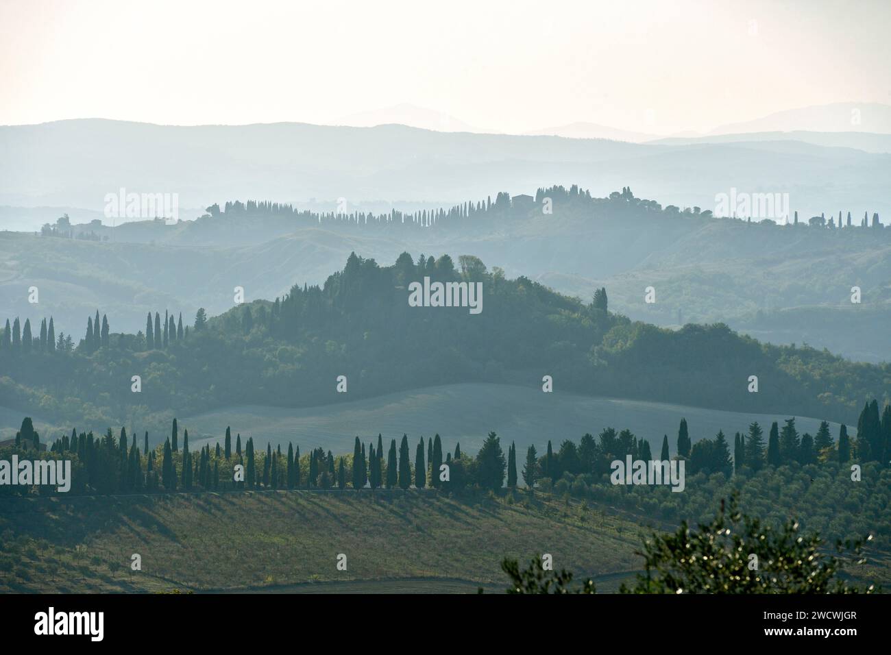 Italy, Tuscany, Siena countryside, Crete Senesi, countryside near ...