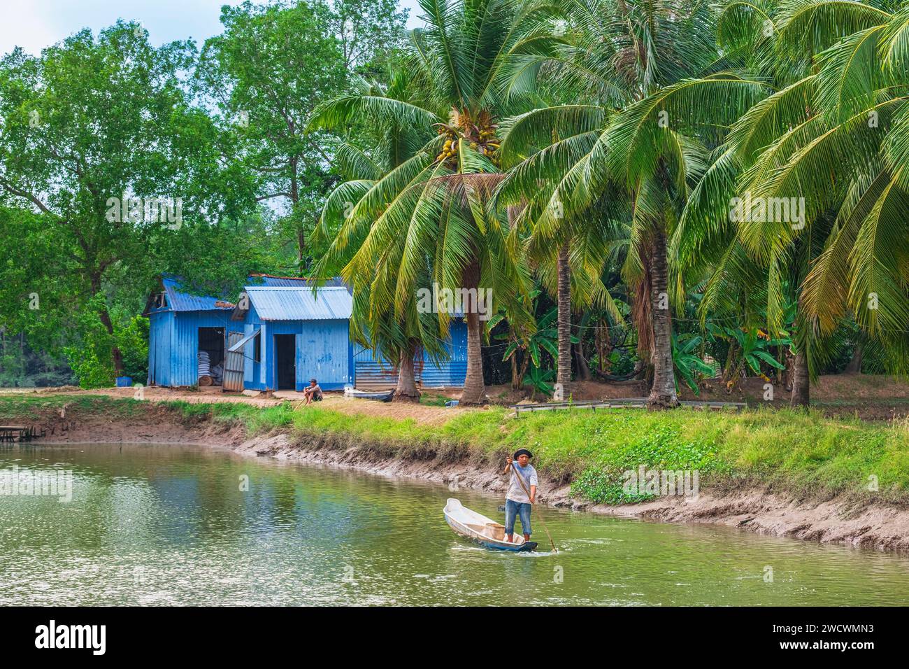 Vietnam, Mekong Delta, Ben Tre province, island on Ham Luong river ...