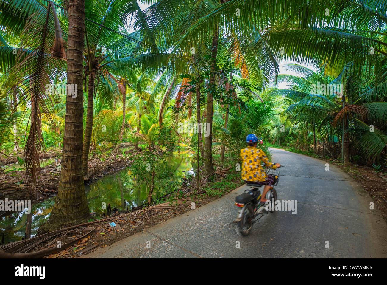 Vietnam, Mekong Delta, Ben Tre province, Con Oc Island Stock Photo - Alamy